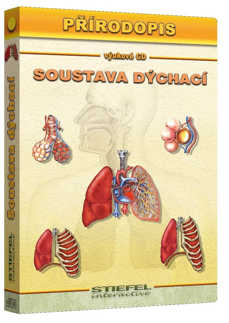 Soustava dýchací - STIEFEL.CZ